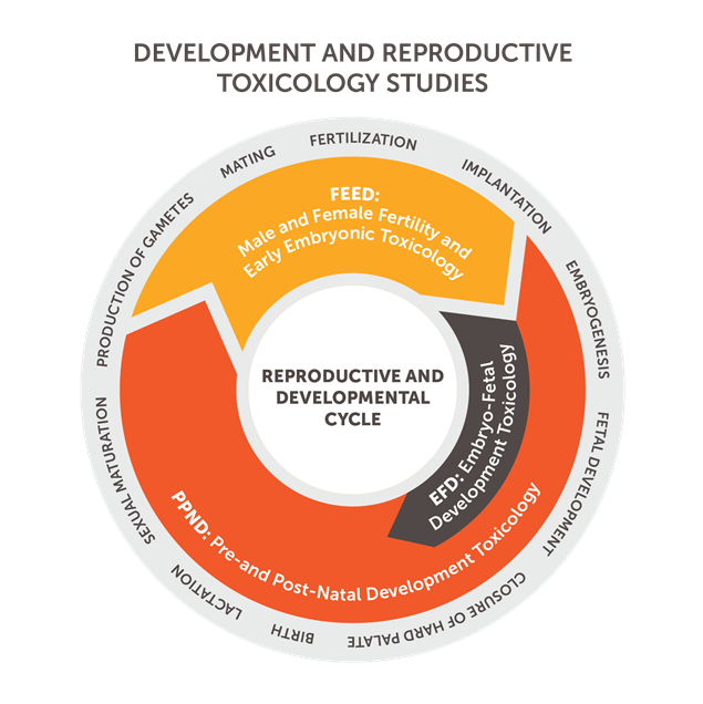 Explore Inotiv’s DART and JAS Offerings