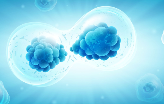 Explore Inotiv’s DART and JAS Offerings