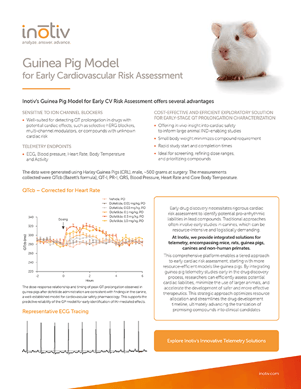 Guinea Pig Model for Early Cardiovascular Risk Assessment