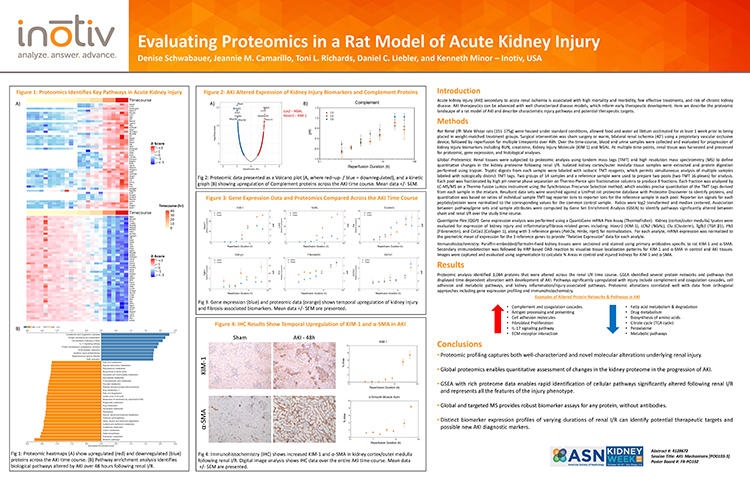 Evaluating Proteomics in a Rat Model of Acute Kidney Injury