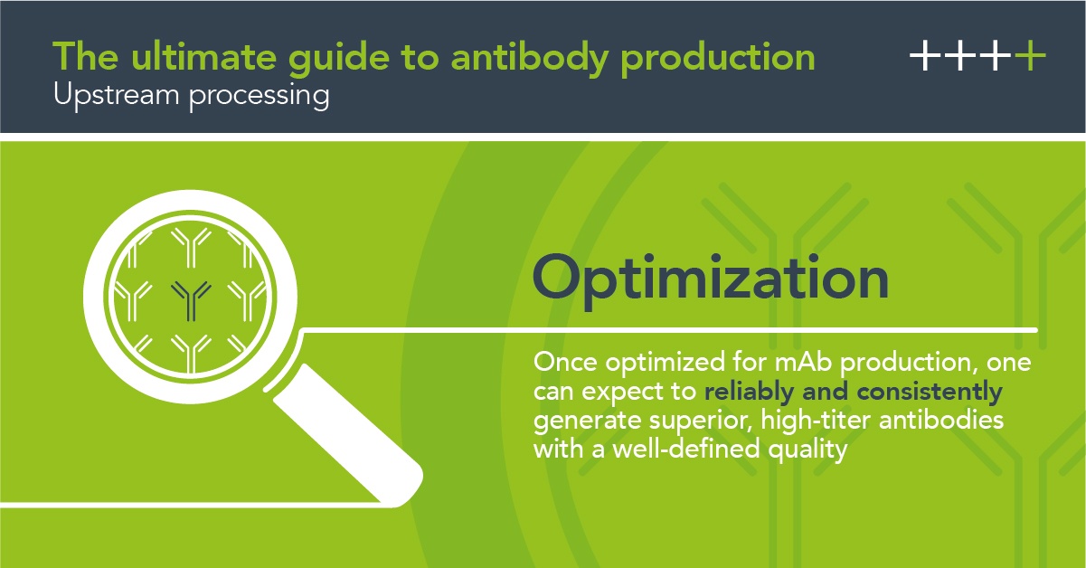 Infographic - Upstream antibody processing