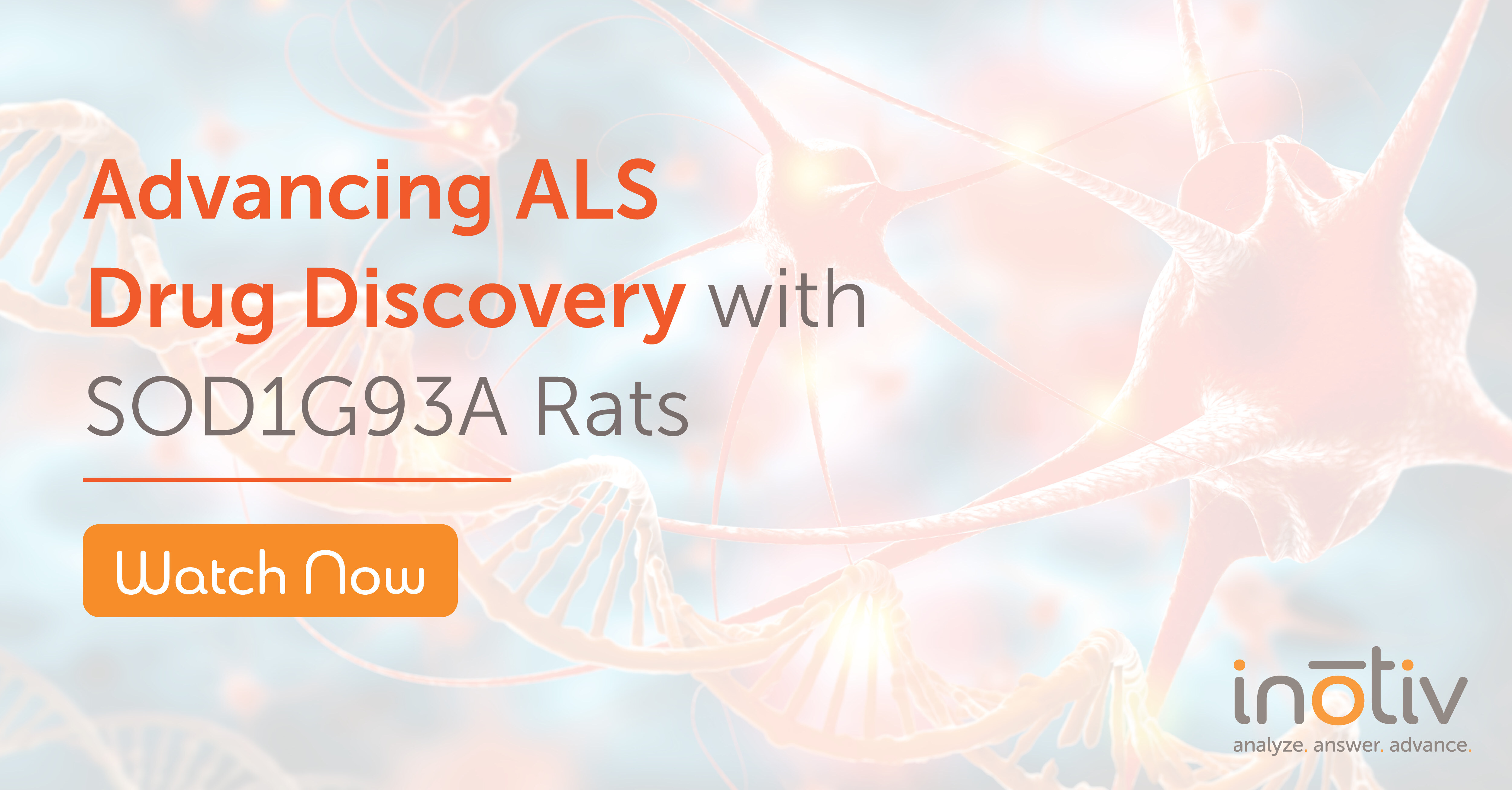 Webinar—SOD1G93A Rat Model of ALS