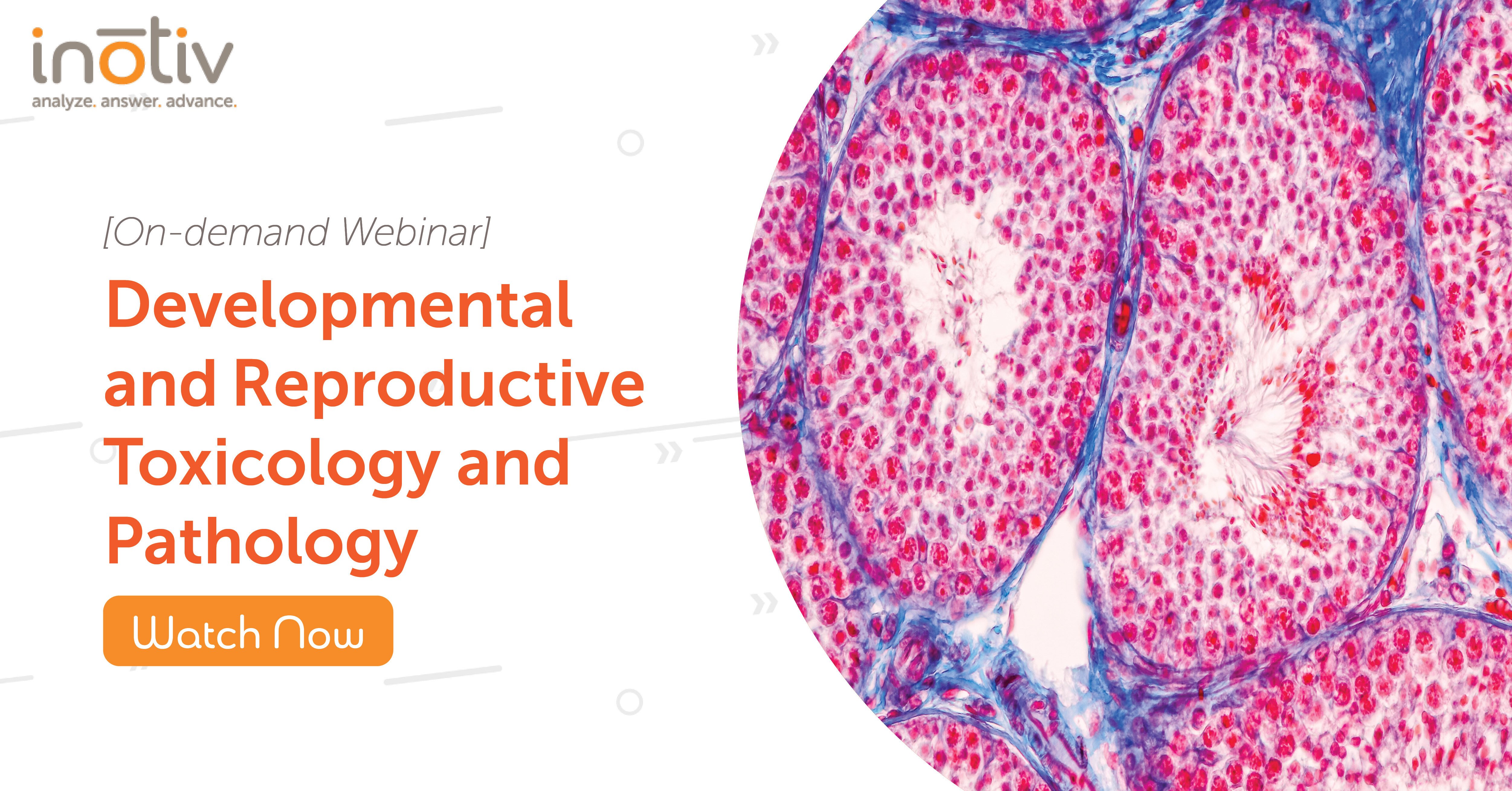Developmental and reproductive toxicology and pathology