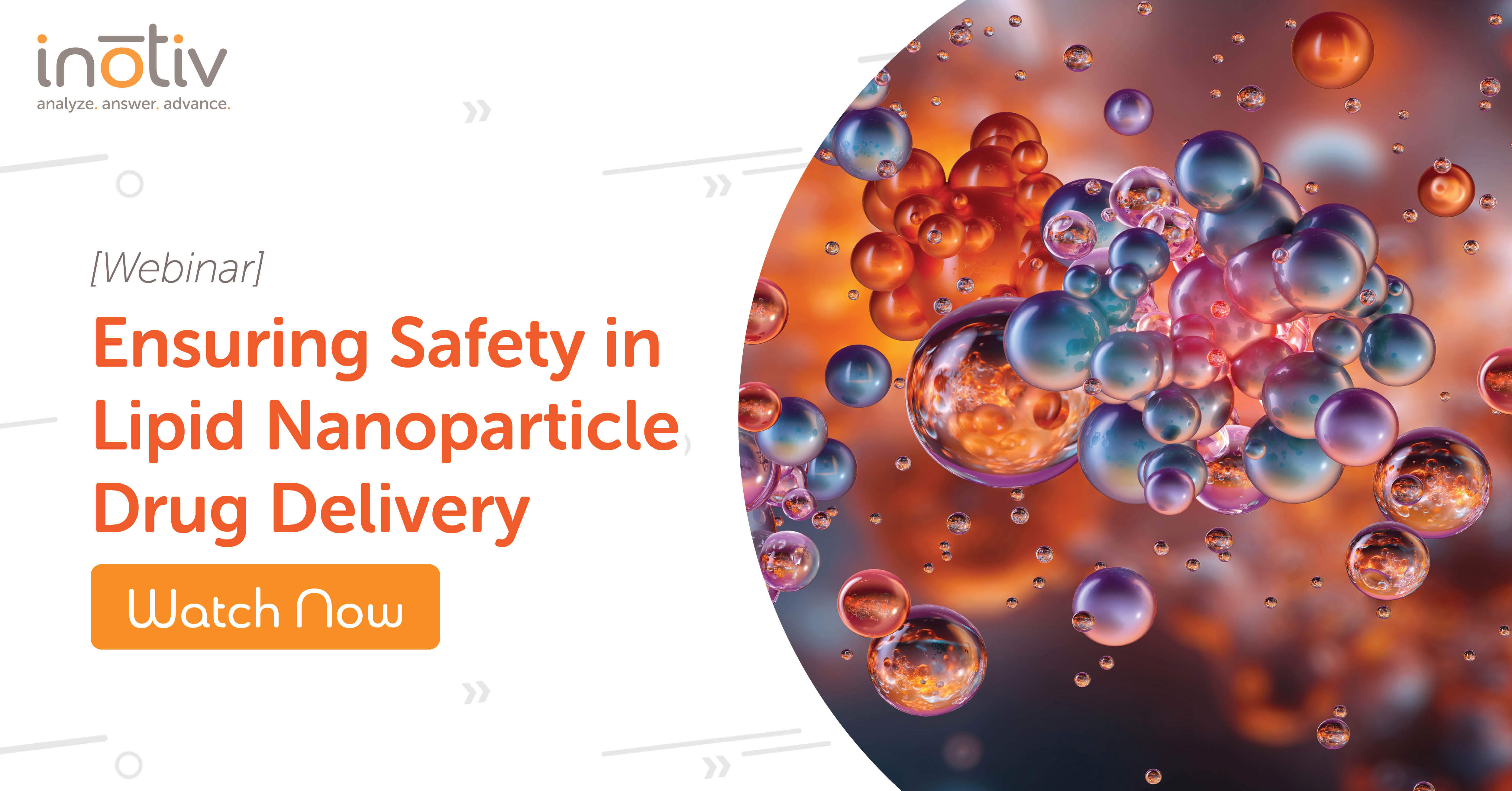 Ensuring Safety in Lipid Nanoparticle Drug Discovery