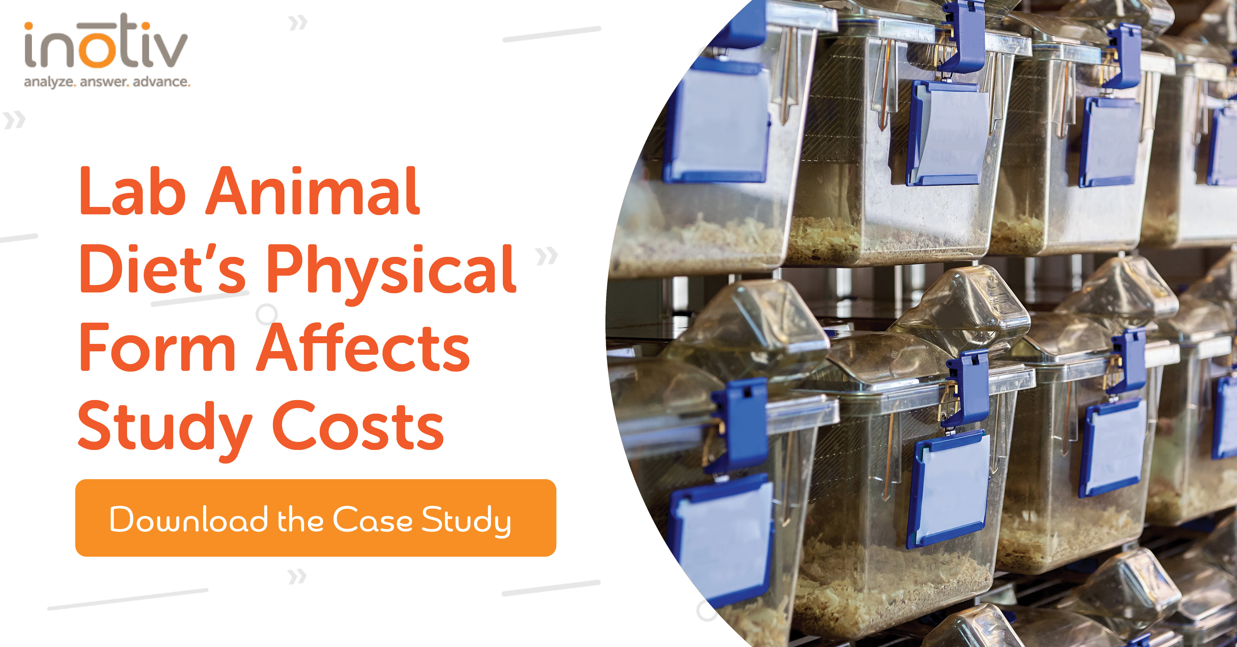 Form of diet has an impact on cage microenvironment