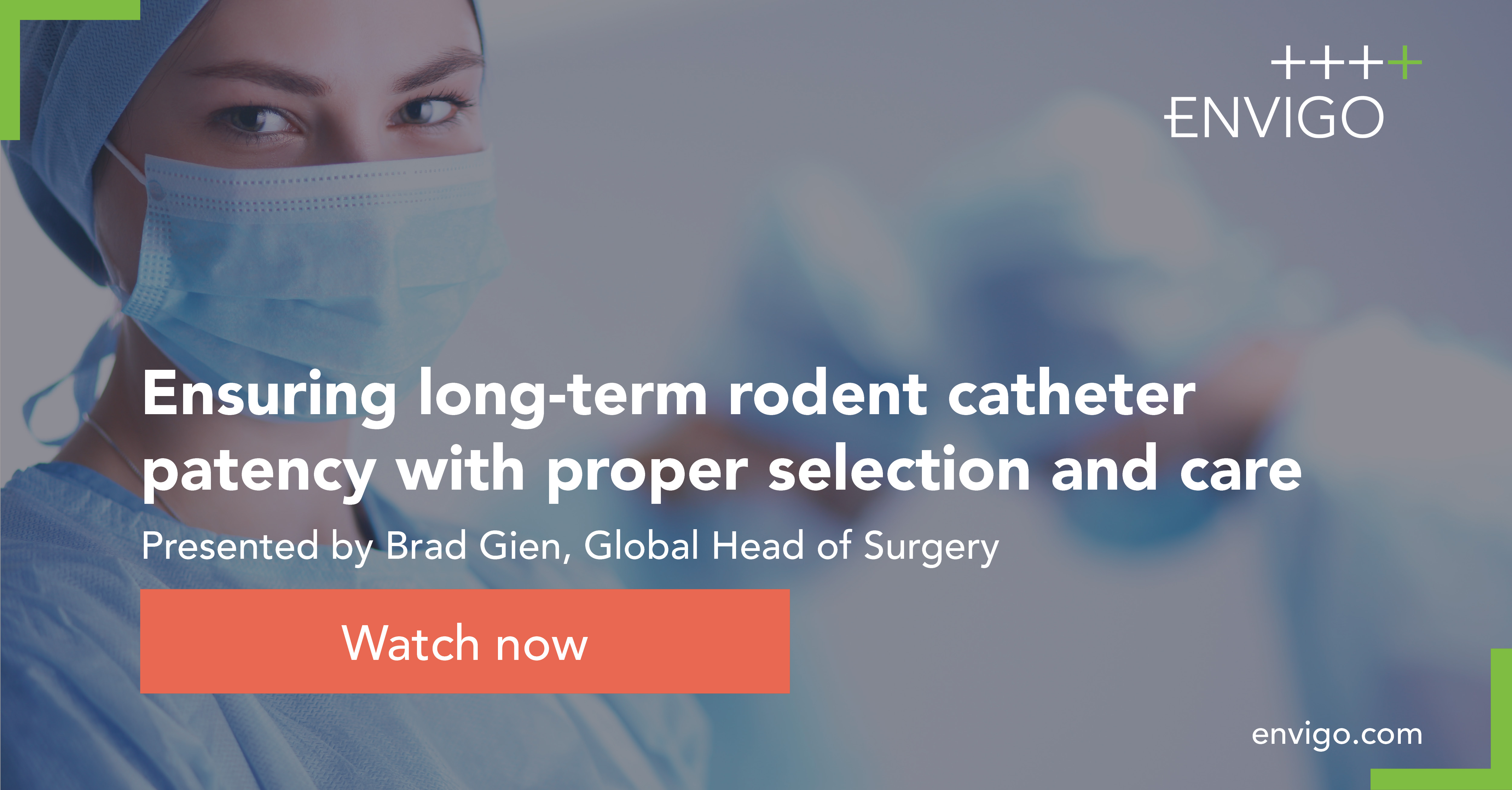 Ensuring Long-Term Rodent Catheter Patency with Proper Selection and Care