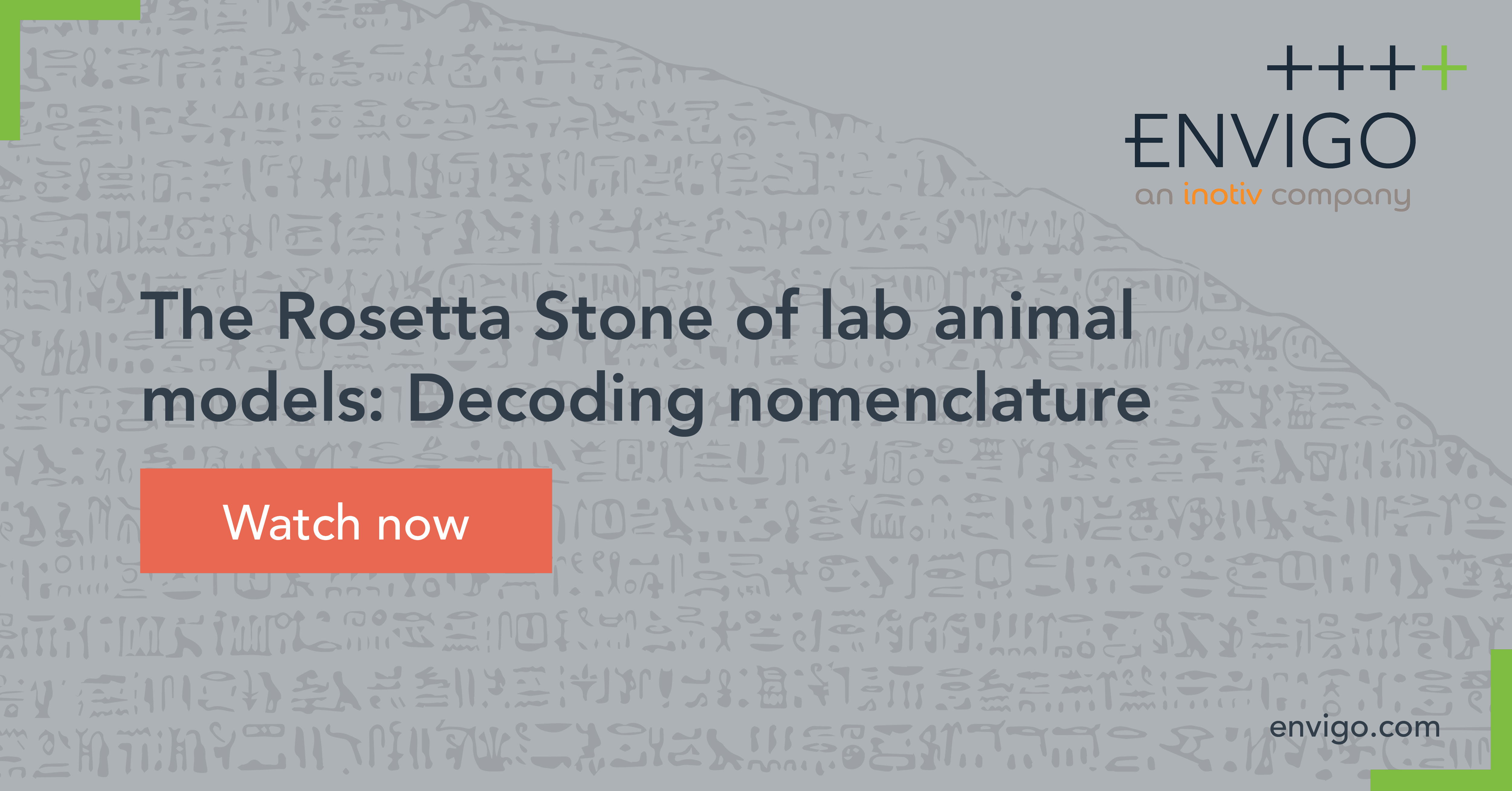 Decoding animal model nomenclature