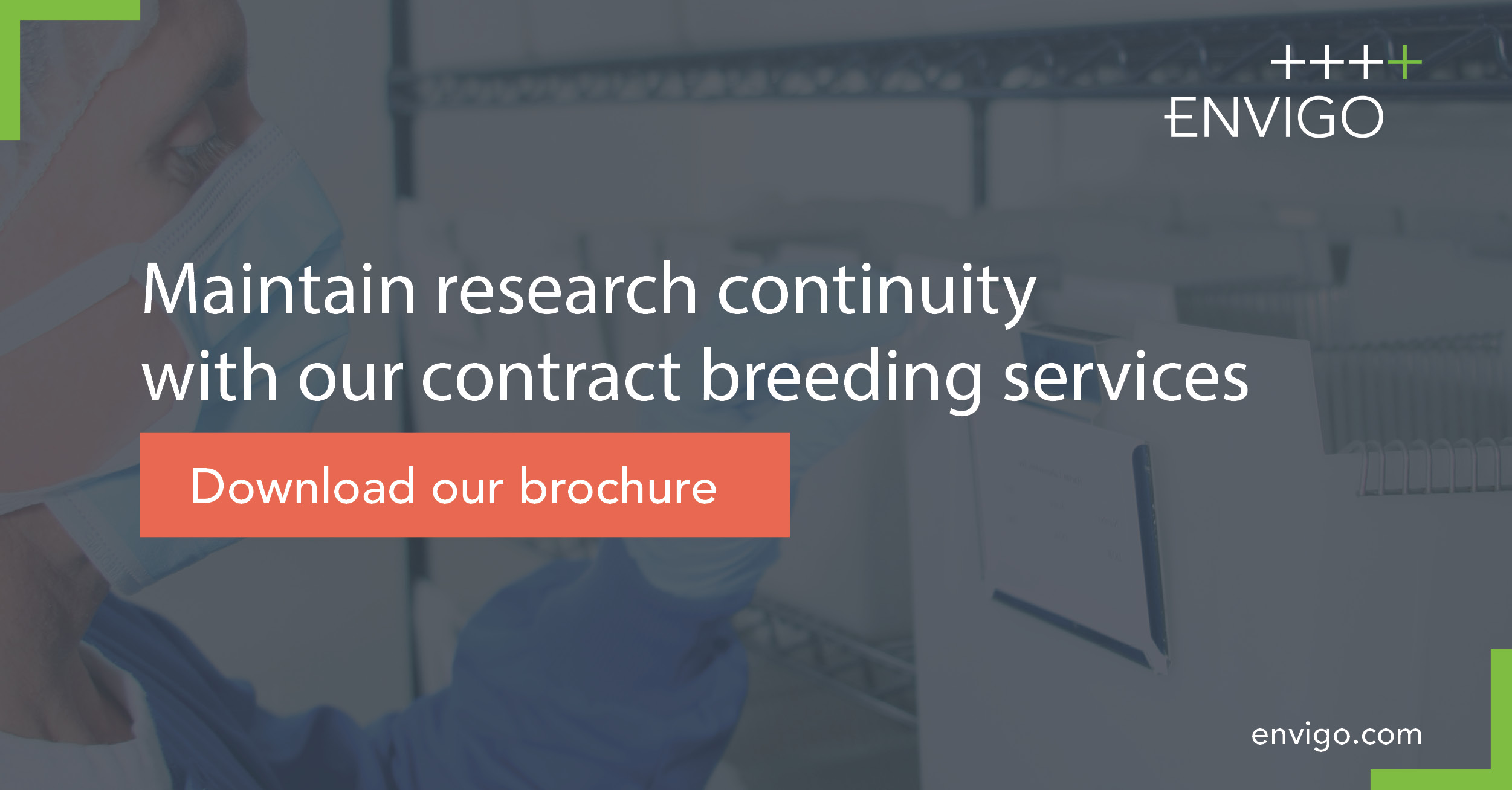 Contract Breeding Services - Launch