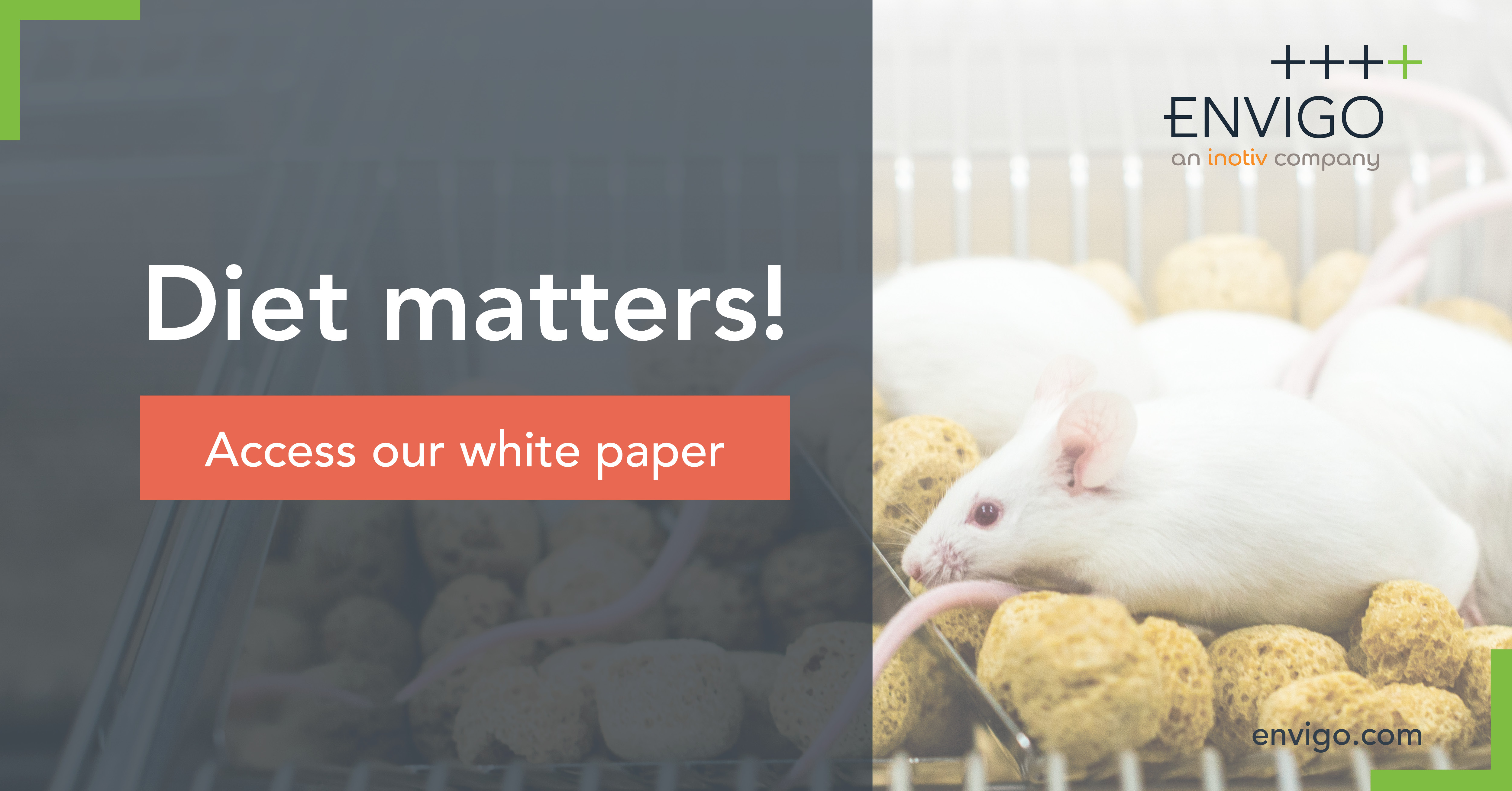 Is your lab animal diet the best choice for your study?