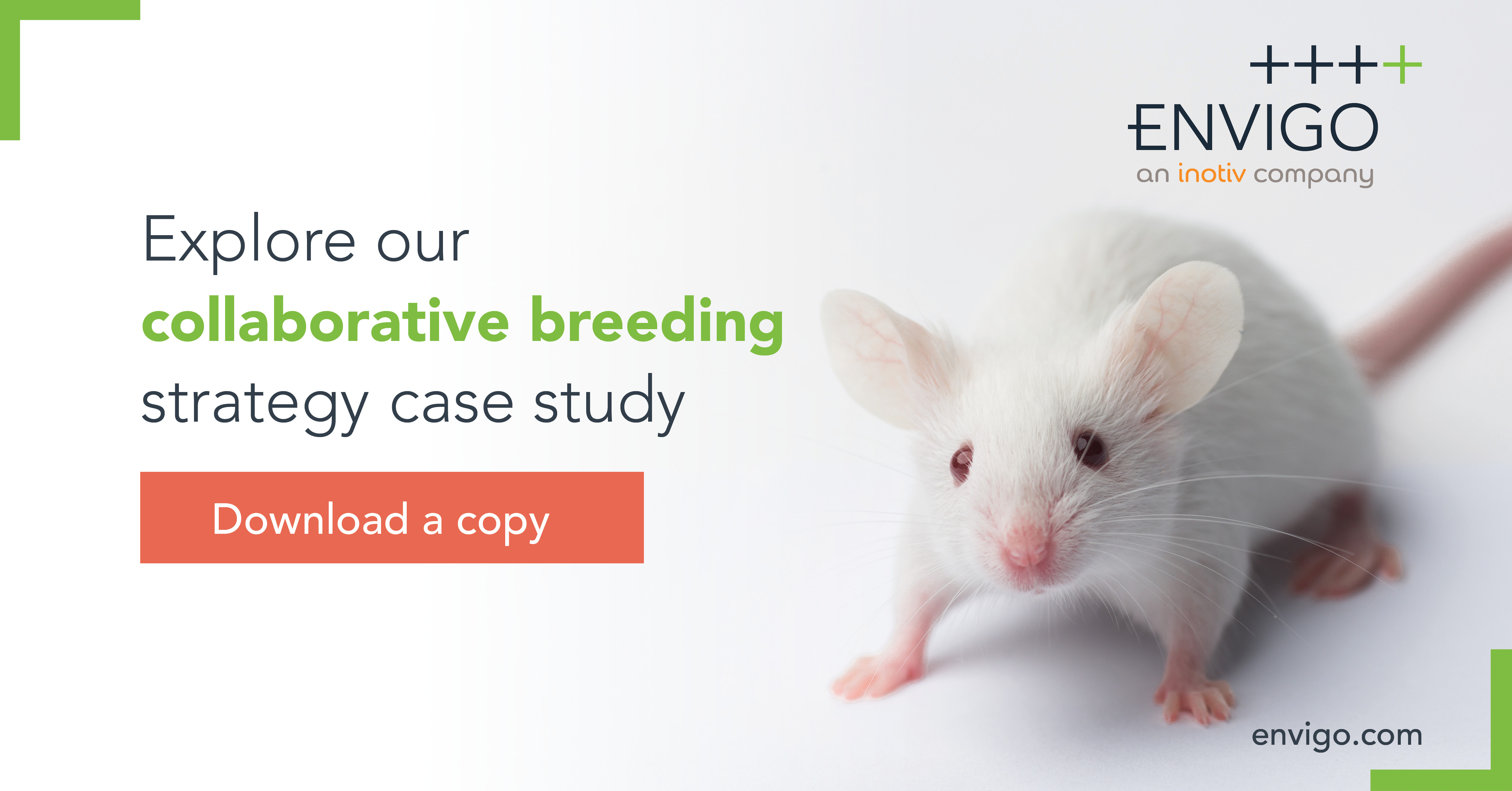 Maintain steady animal supply while focusing on the 3Rs