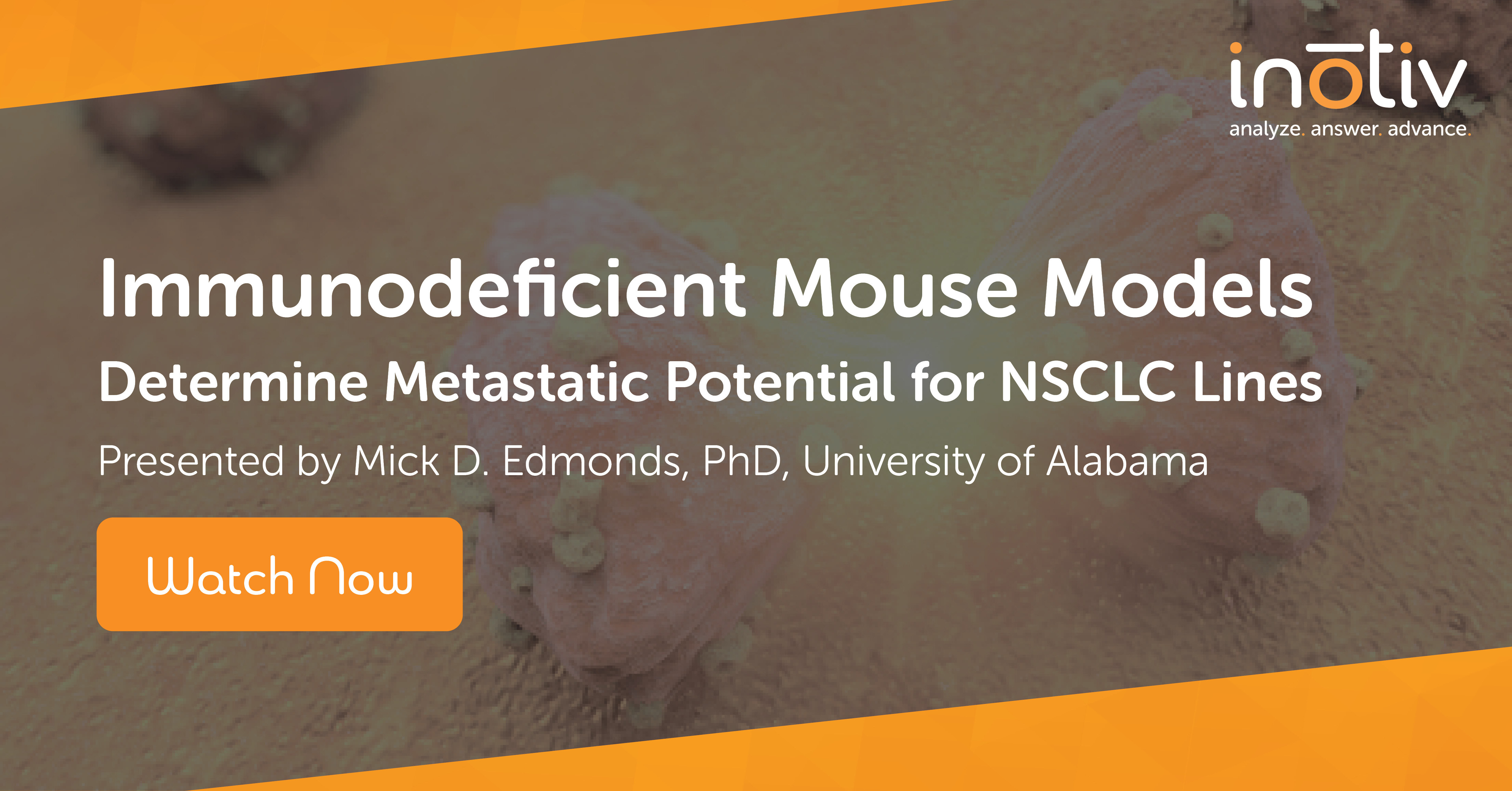 Chart new paths in lung cancer research