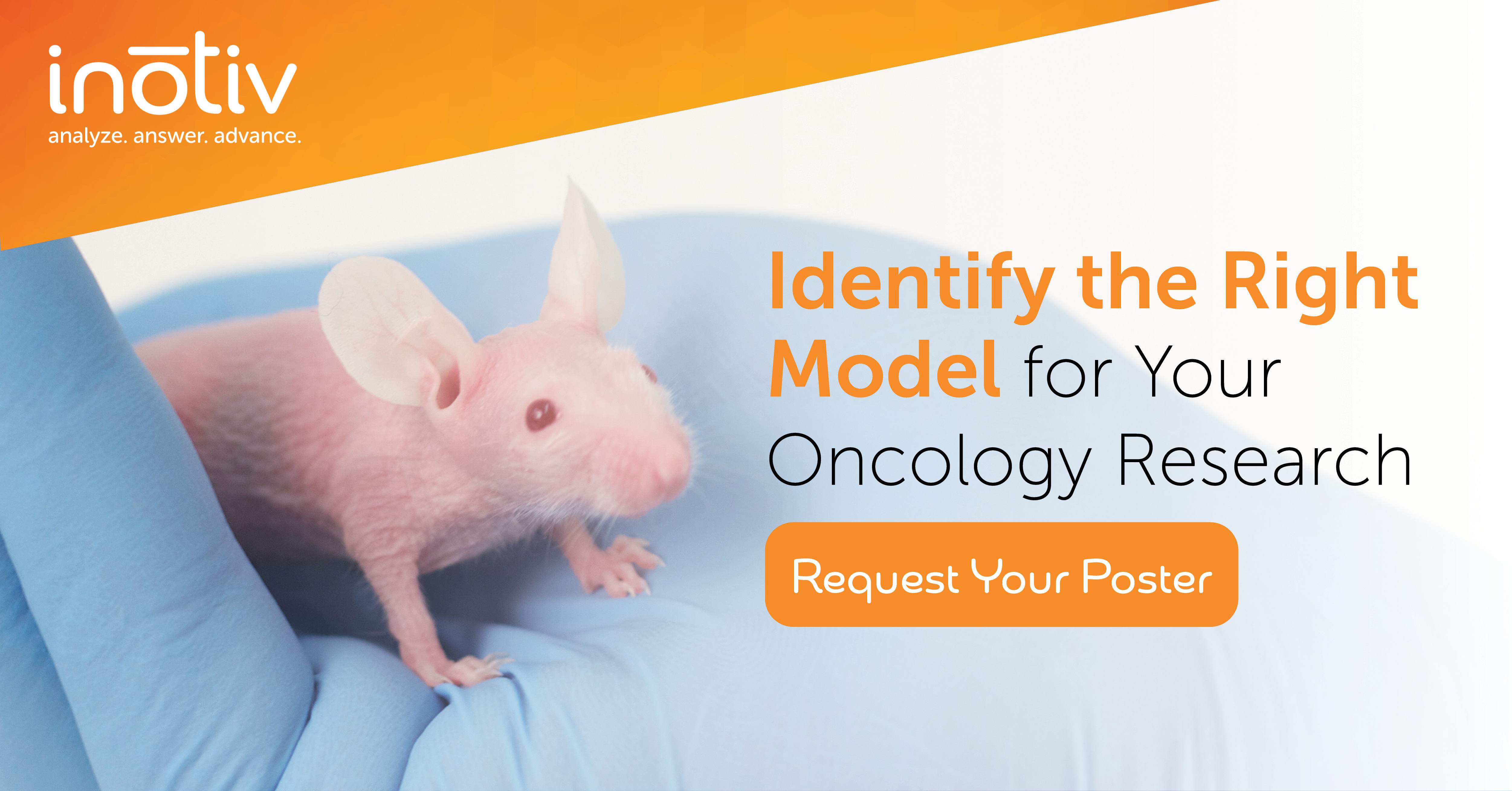 Immunodeficient Models Poster