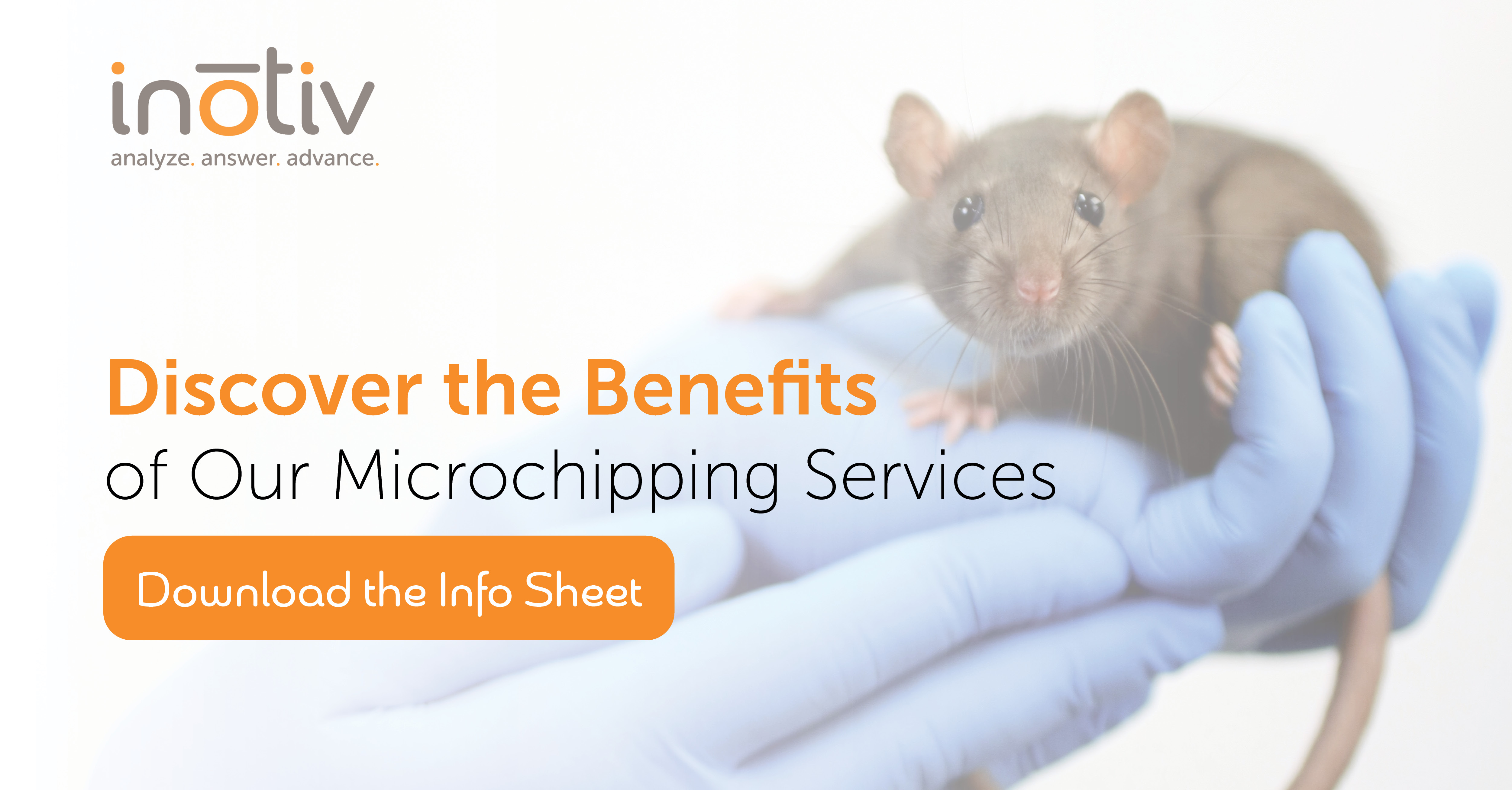 Research Model Microchipping Services | Inotiv