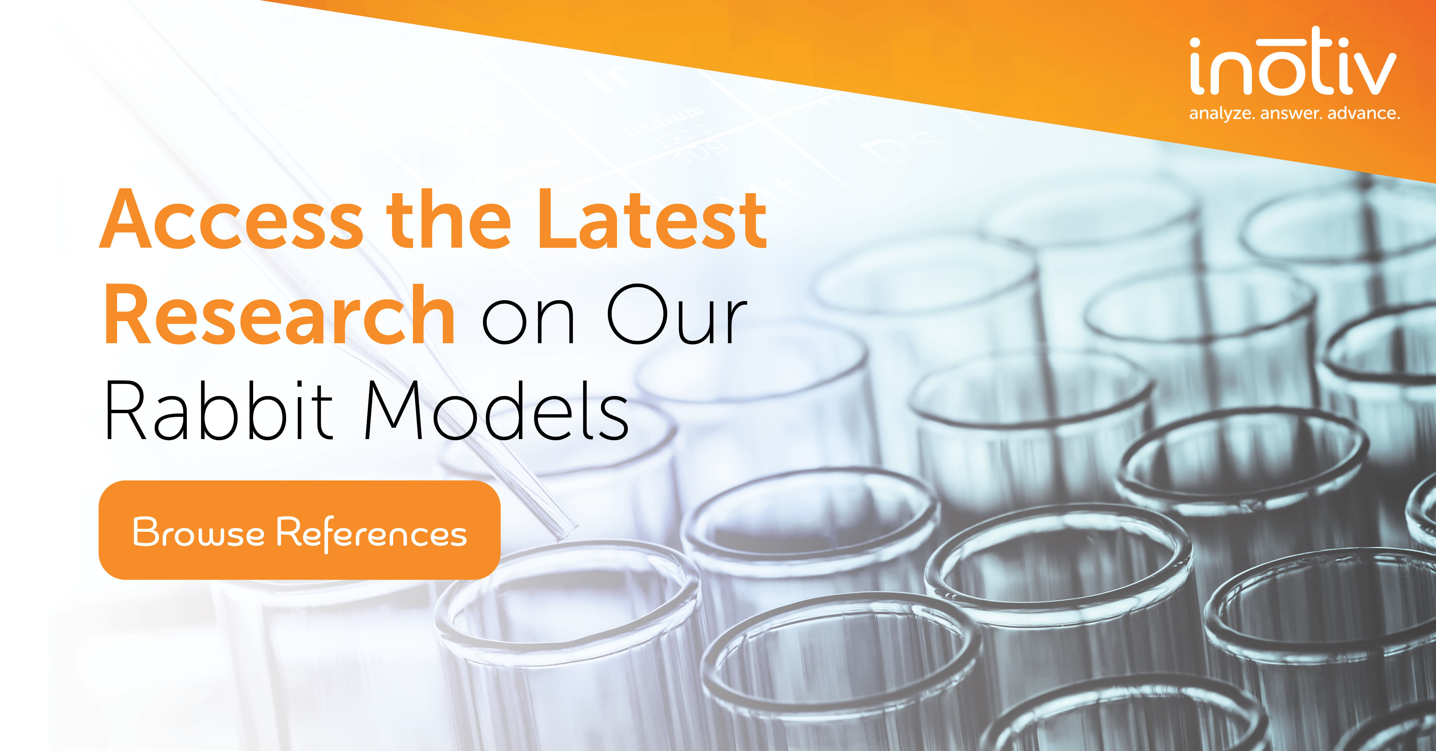 NZW and Dutch Belted Rabbit Model References