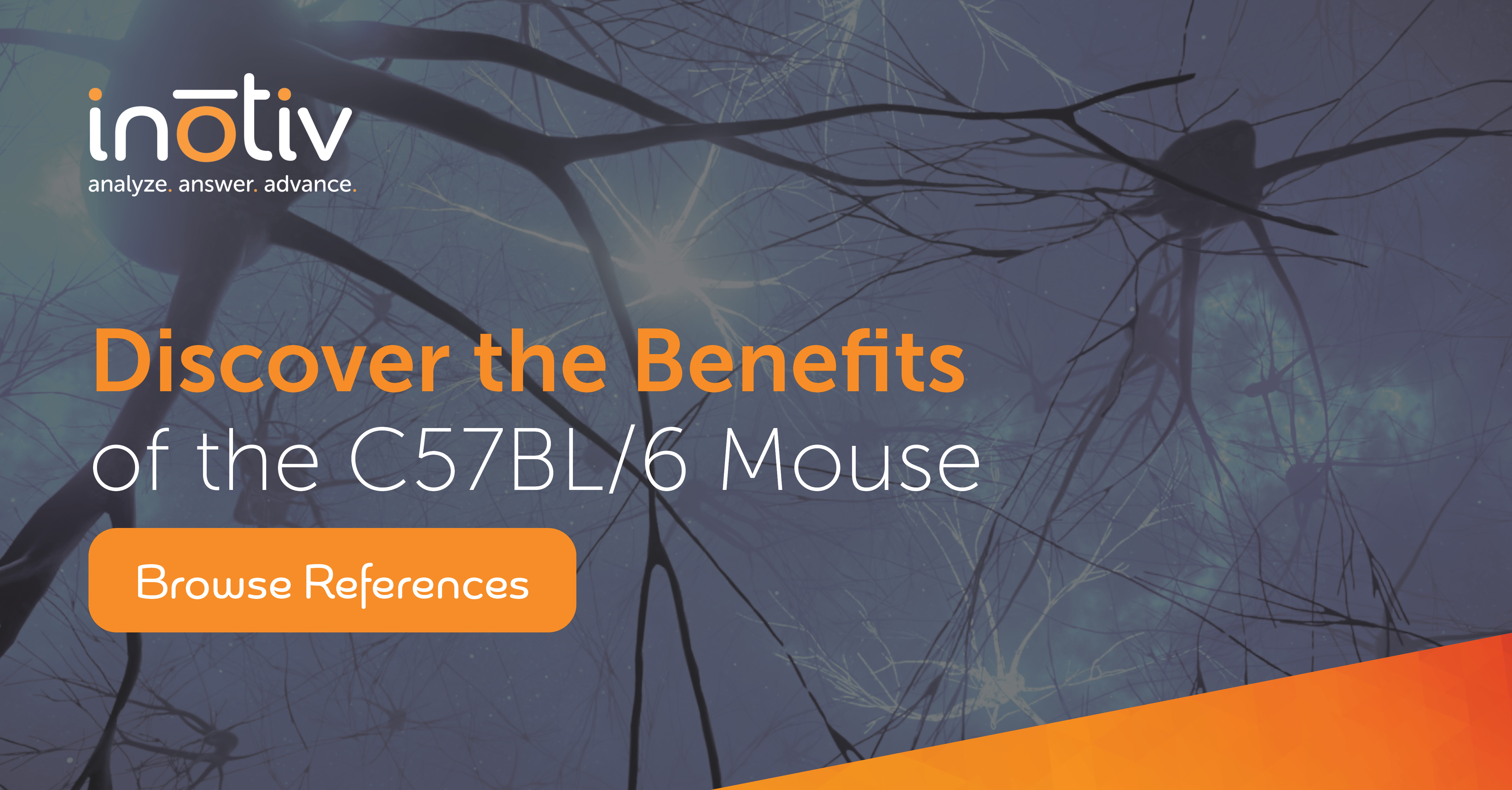 C57BL/6 Mouse Model References