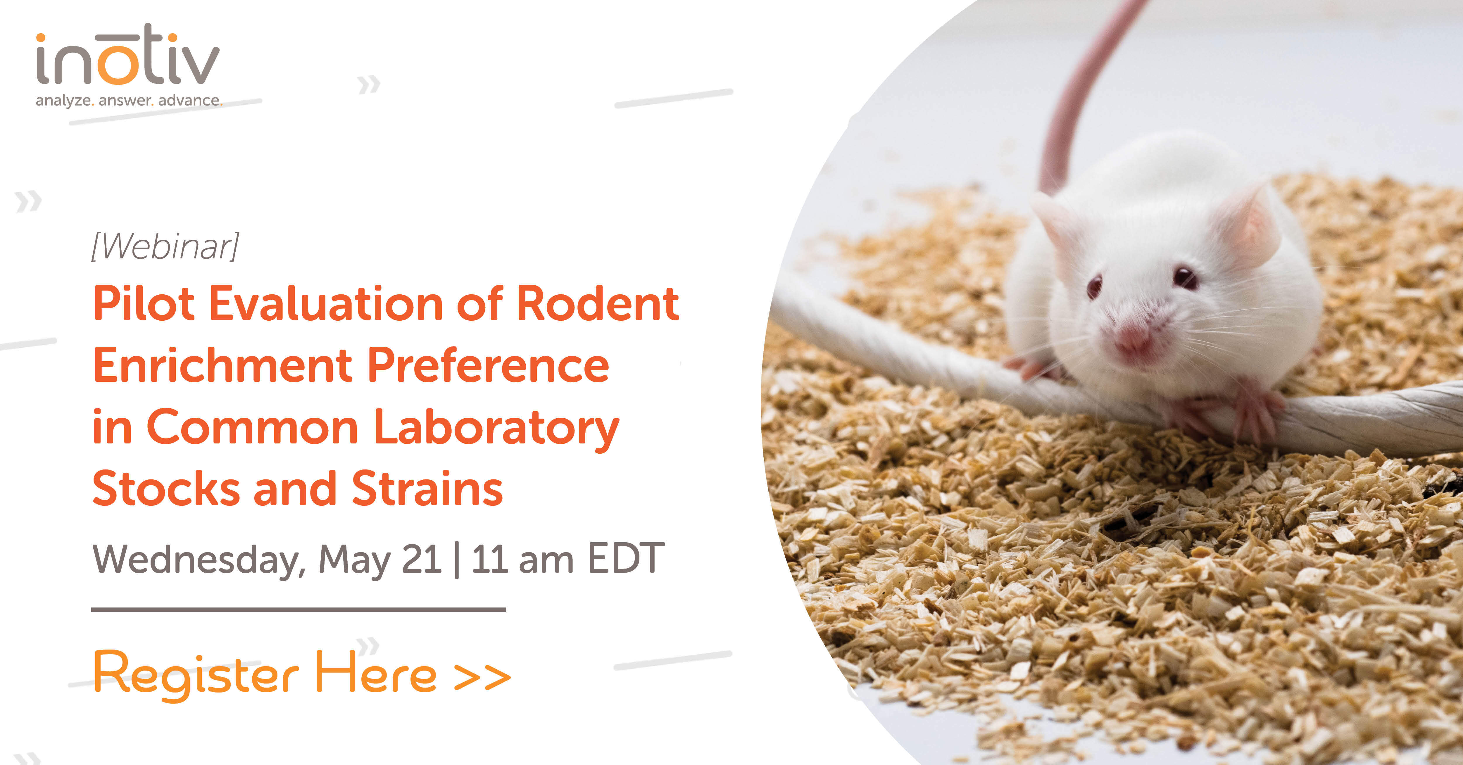 Pilot Evaluation of Rodent Enrichment Preference in Common Laboratory ...