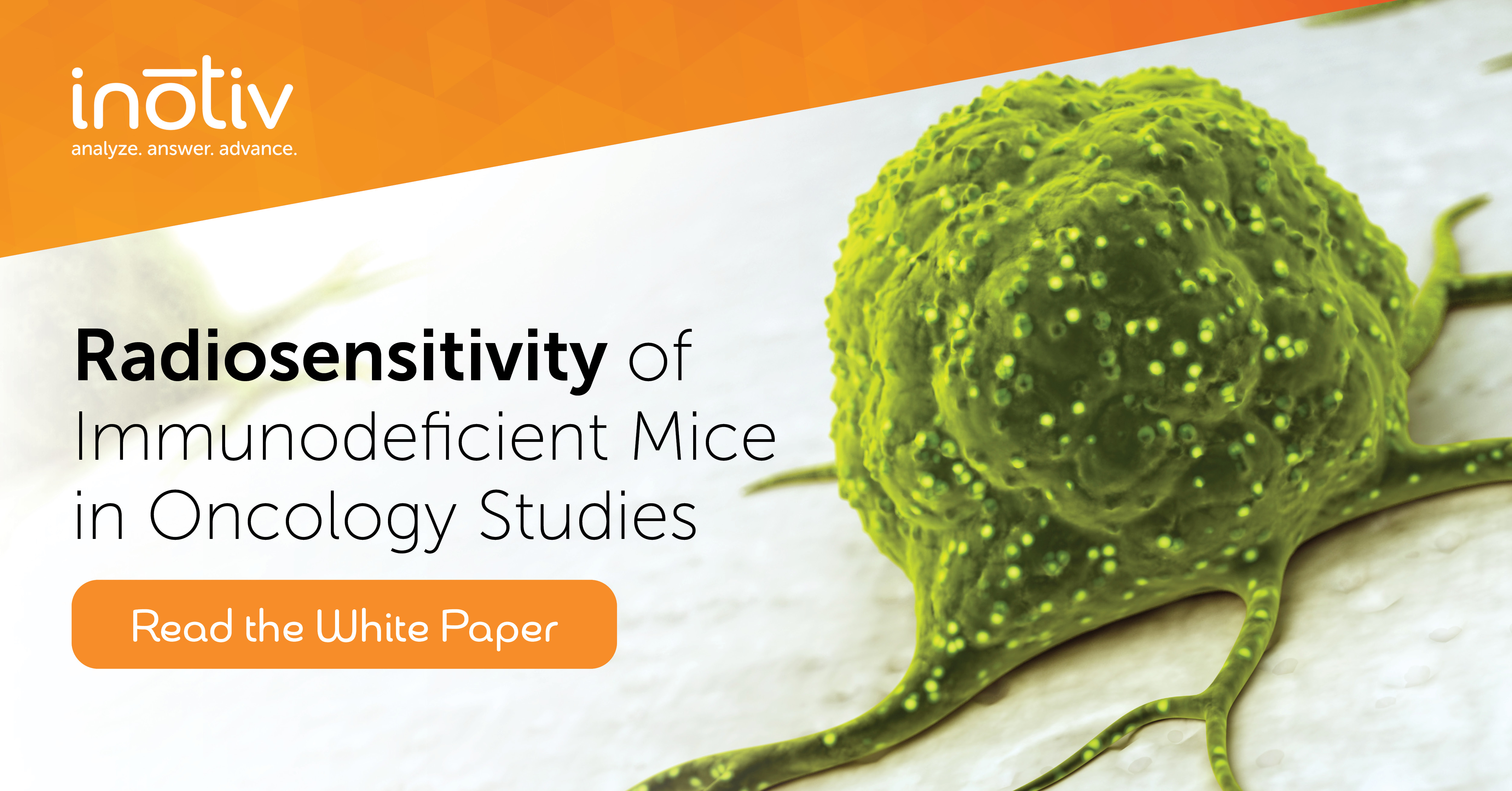 Radiosensitivity of immunodeficient mouse models in oncology studies