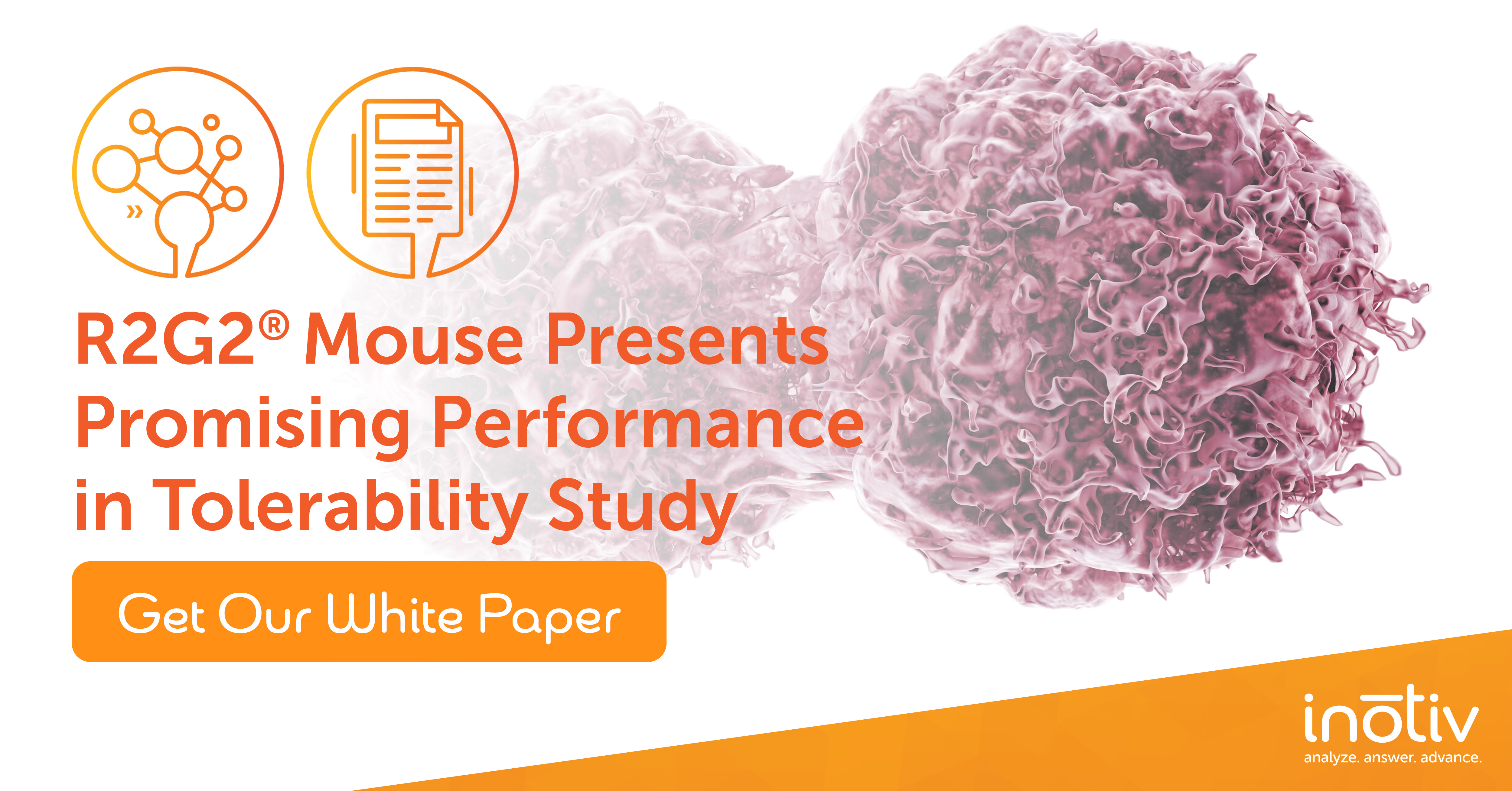 Read about Inotiv's R2G2 mouse and its promising performance in a ...