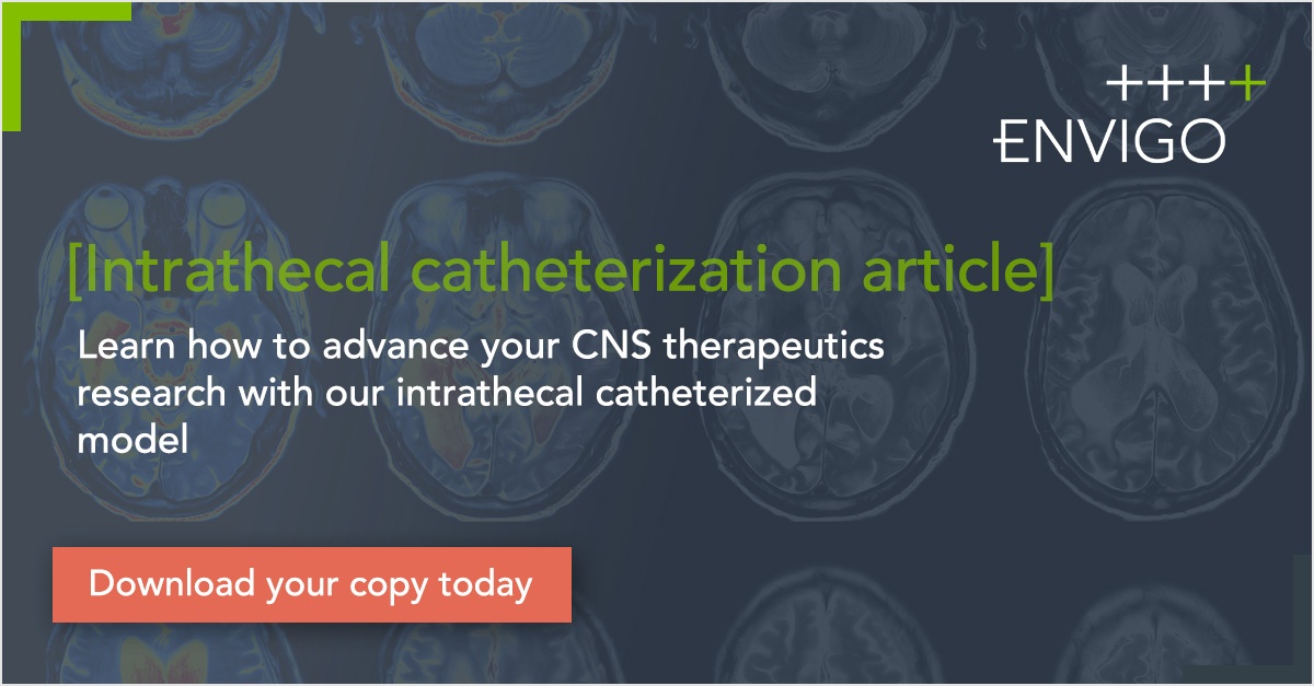 Explore Inotiv’s comprehensive offering to help your research go further