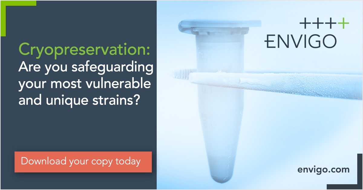 Contract breeding to plan your study cohort supply