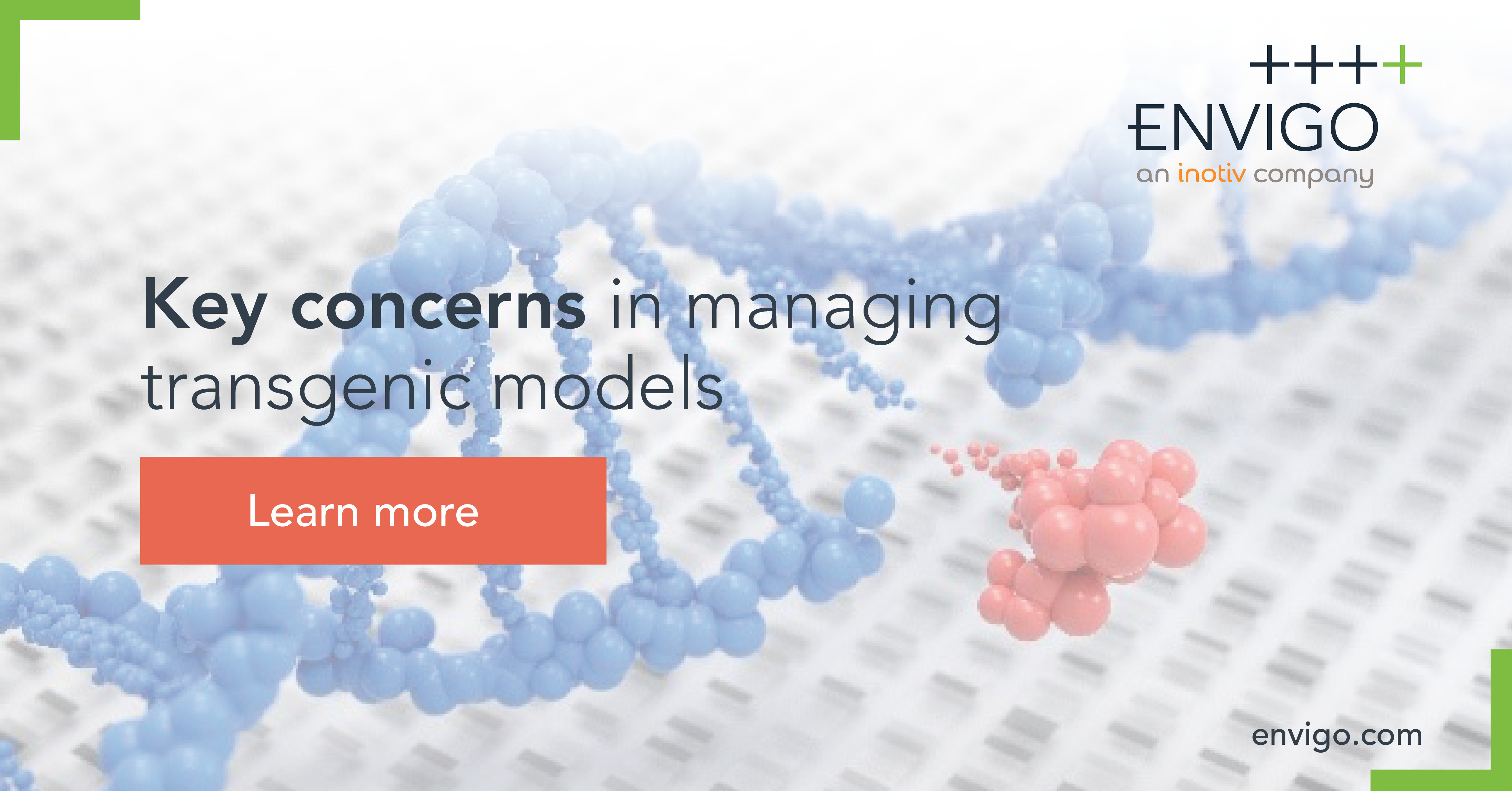 Developing, breeding and managing transgenic and unique rodent strains