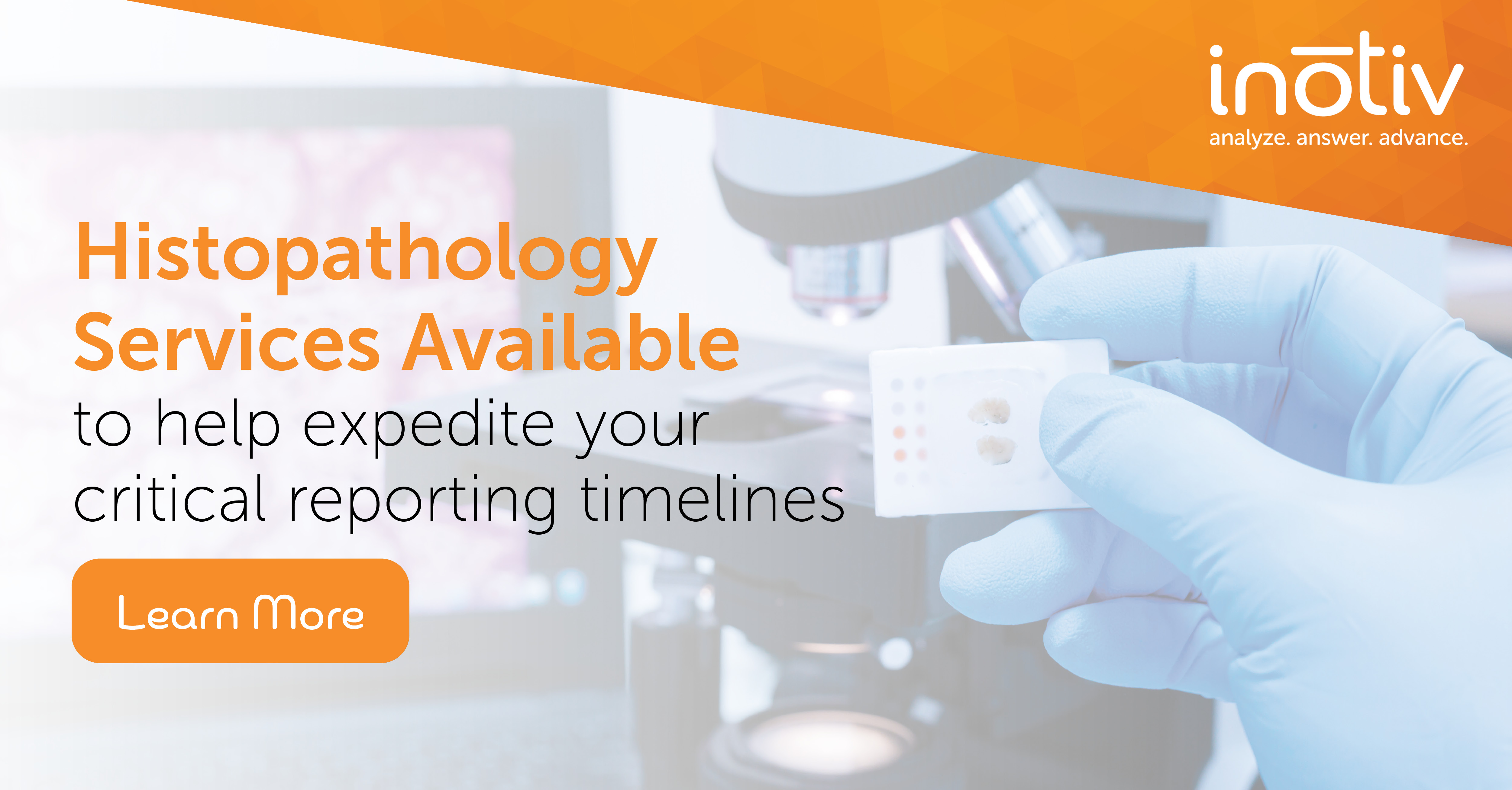 Take advantage of Inotiv's investment in histopathology services.