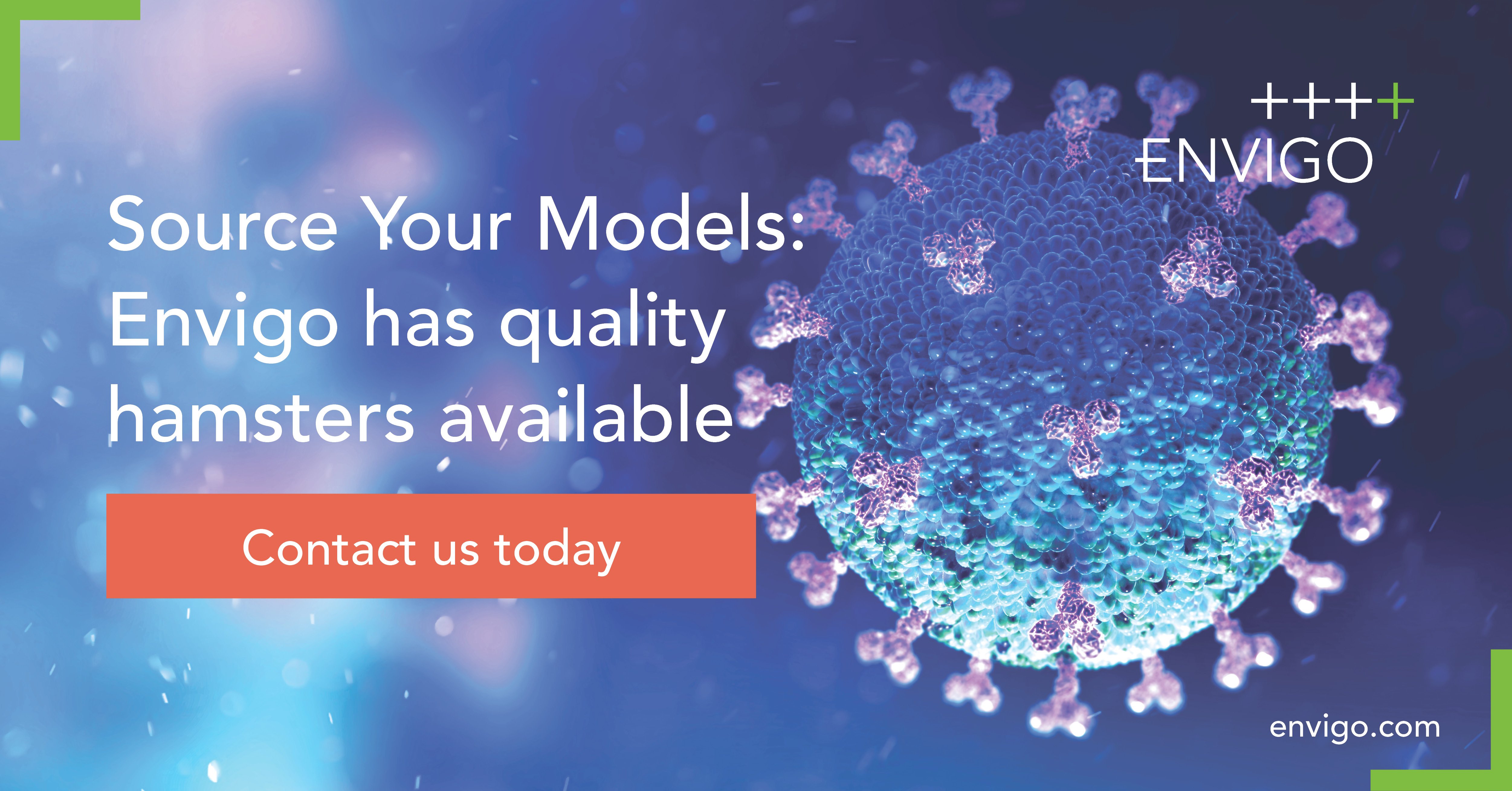 Learn more about Envigo's models for SARS-CoV-2 research