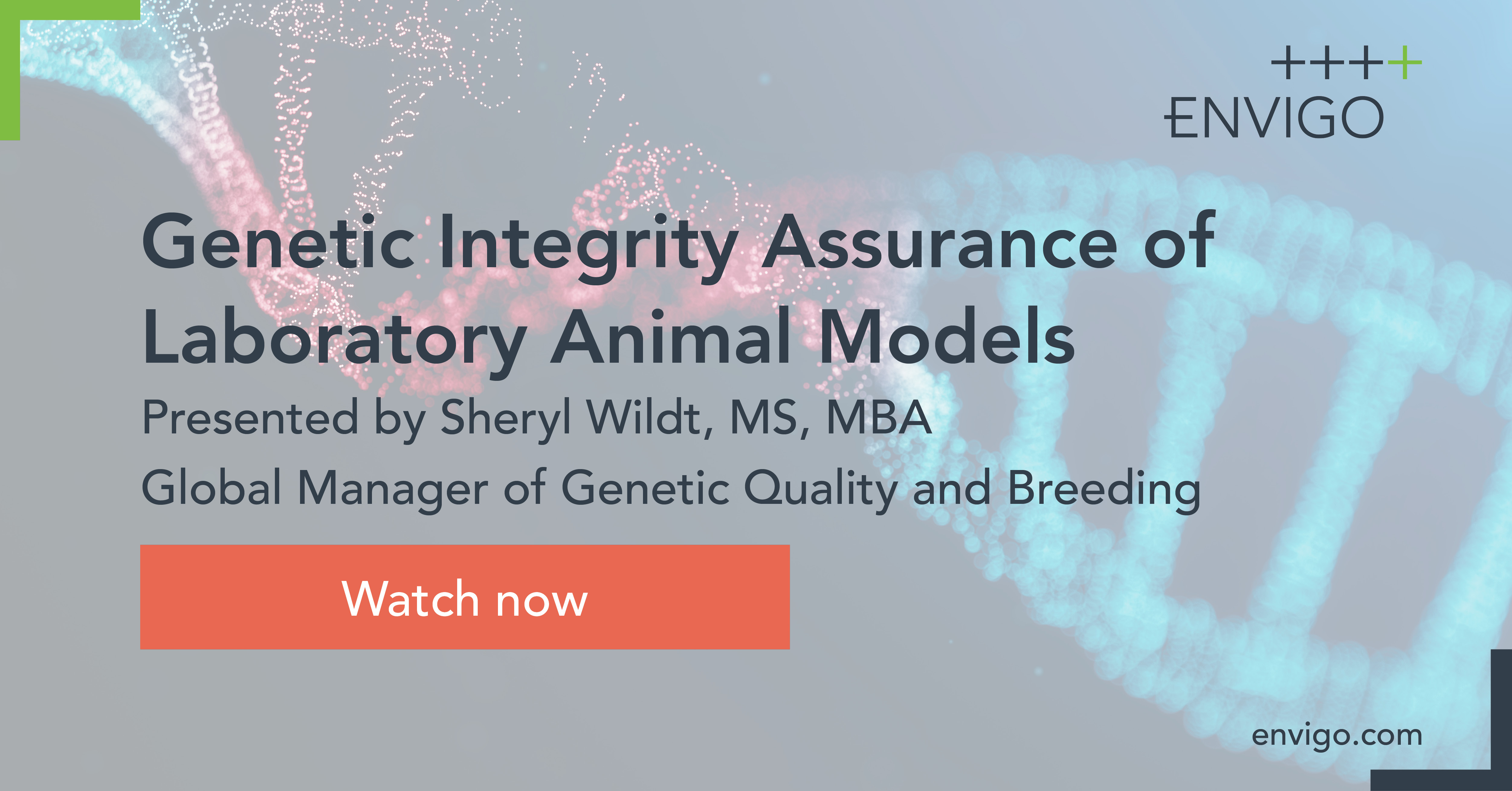 Genetic Integrity Assurance of Laboratory Animal Models