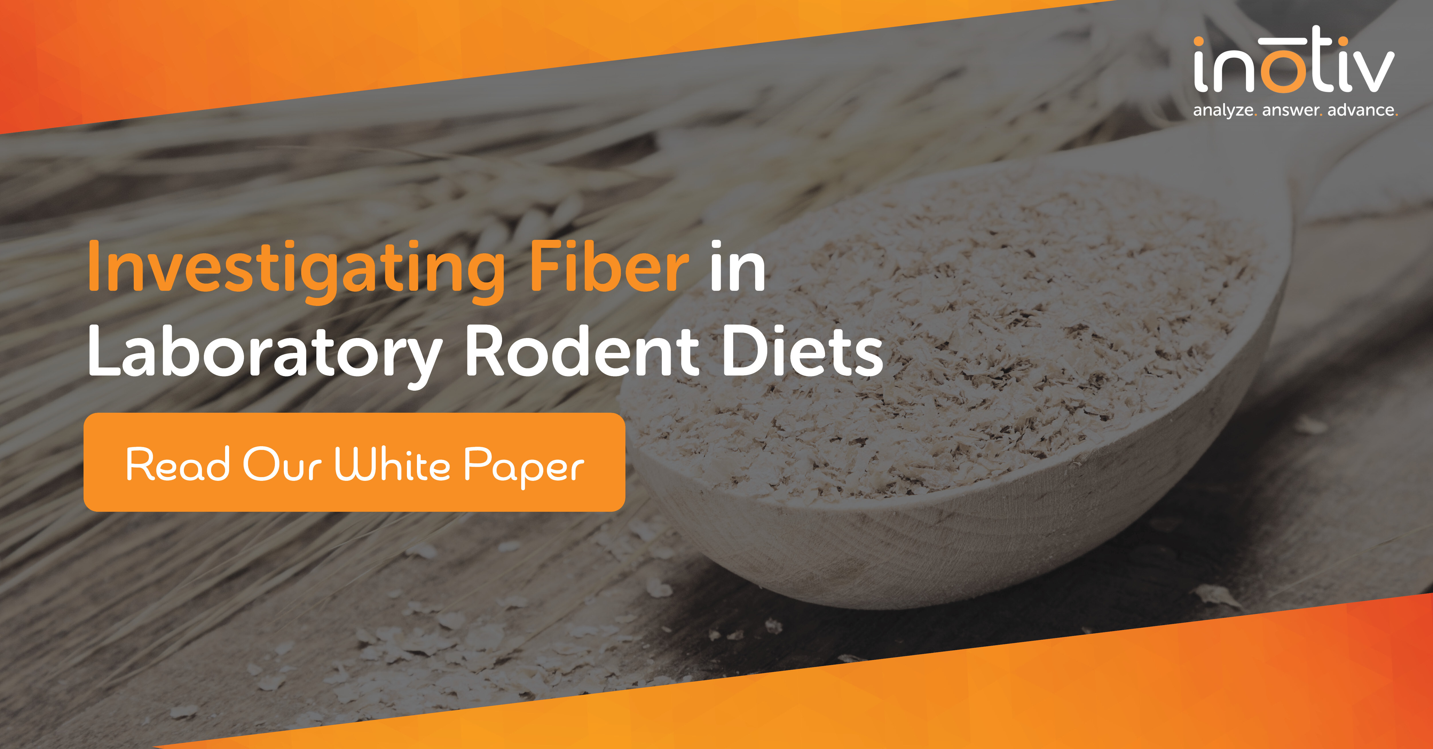 Discover the many benefits of fiber on rodent health