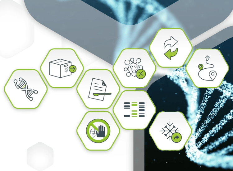 Watch our video to see how Inotiv can help enable efficiencies in your ...